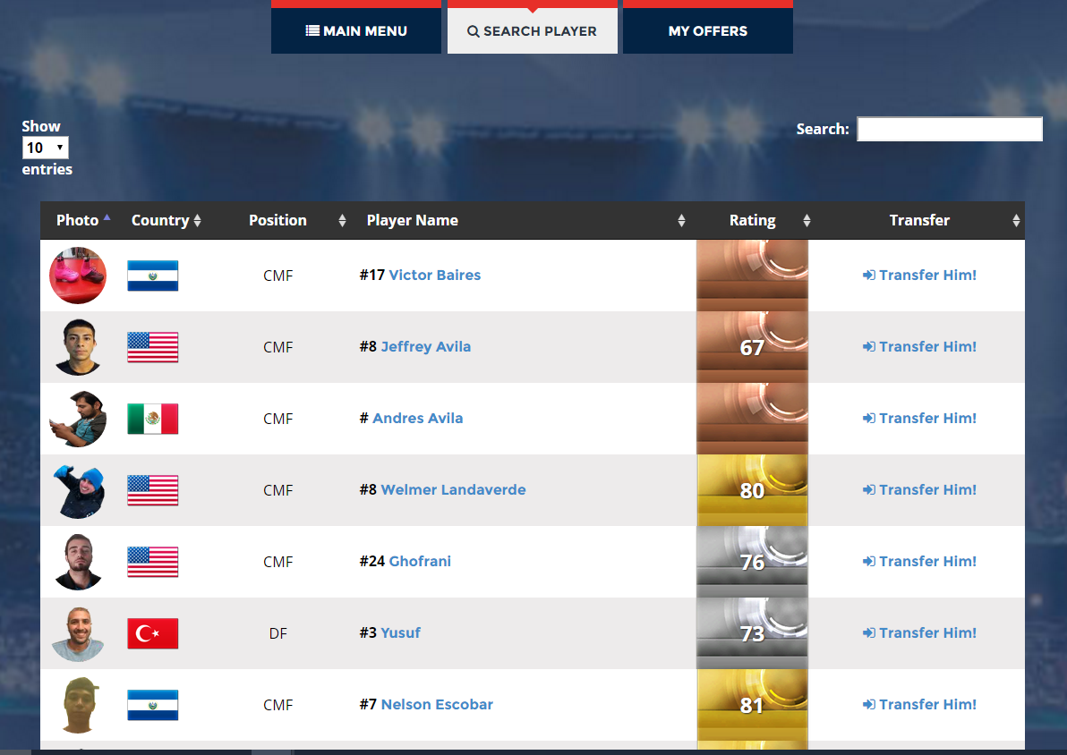 Northern Virginia Adult Soccer